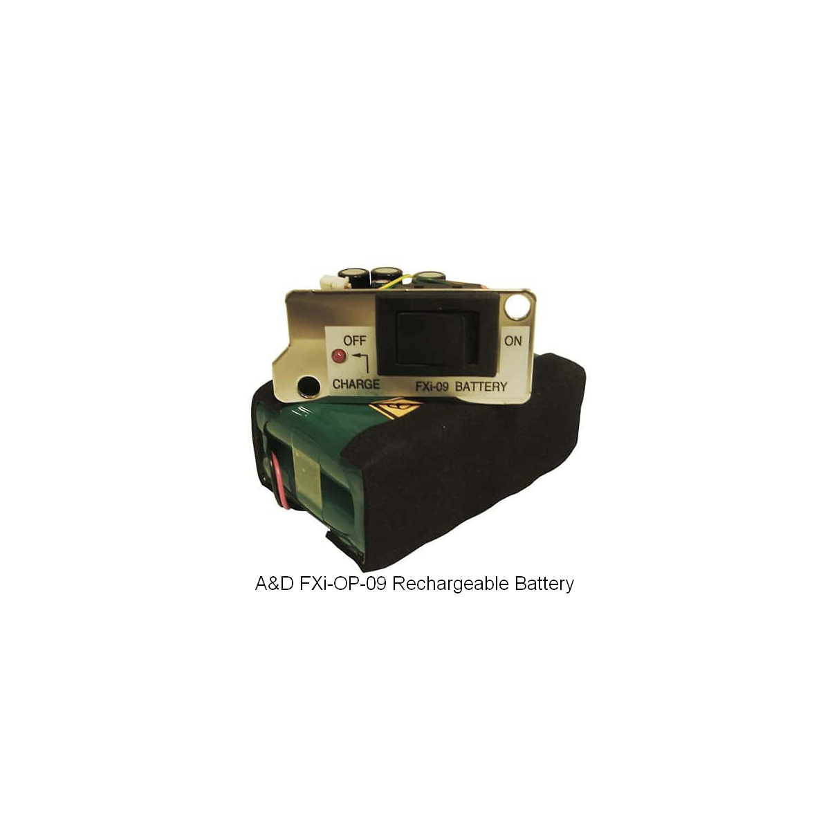 A&D FX-500i a stabilization speed of just 1 second