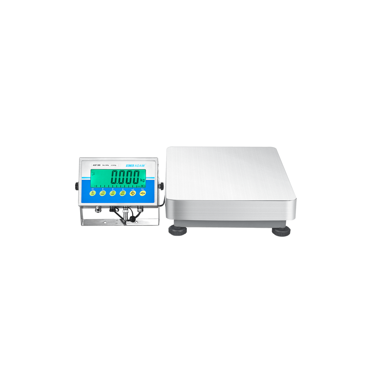 Adam AGB / AGF Bench & Floor Scales | IP67 Checkweighing
