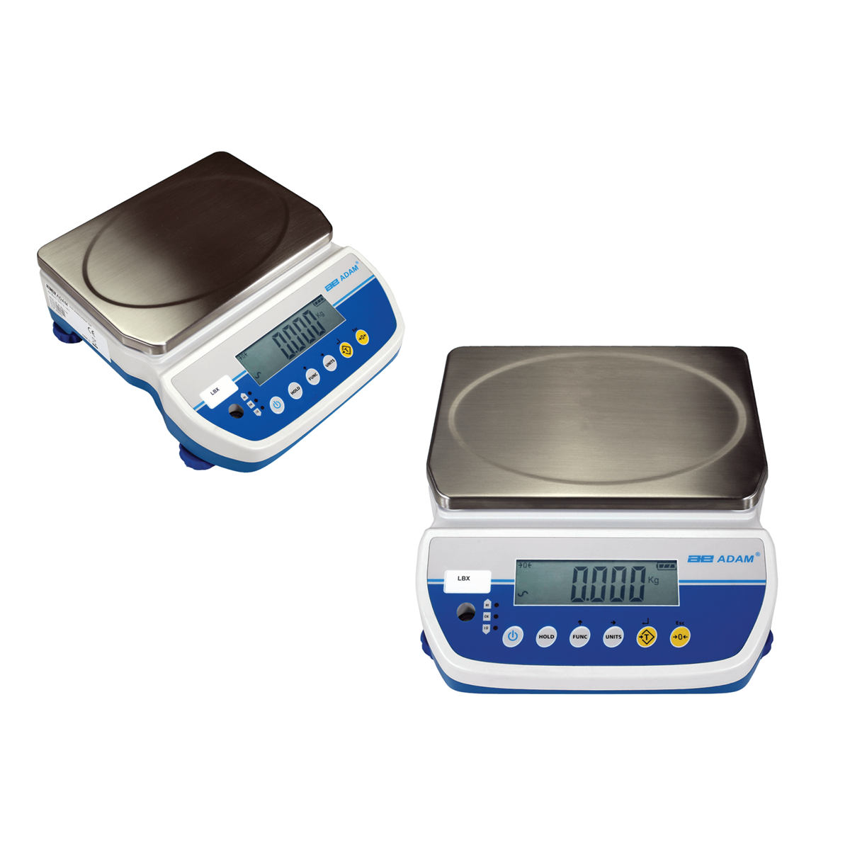 Adam Latitude LBX Compact Bench Scale | Simple Easy Weighing
