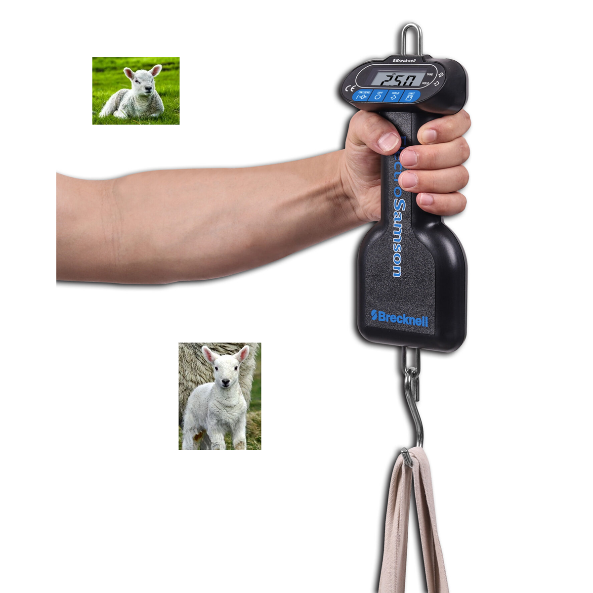 Brecknell ElectroSamson Lamb Weighing Scale | Weighing Baby Lambs