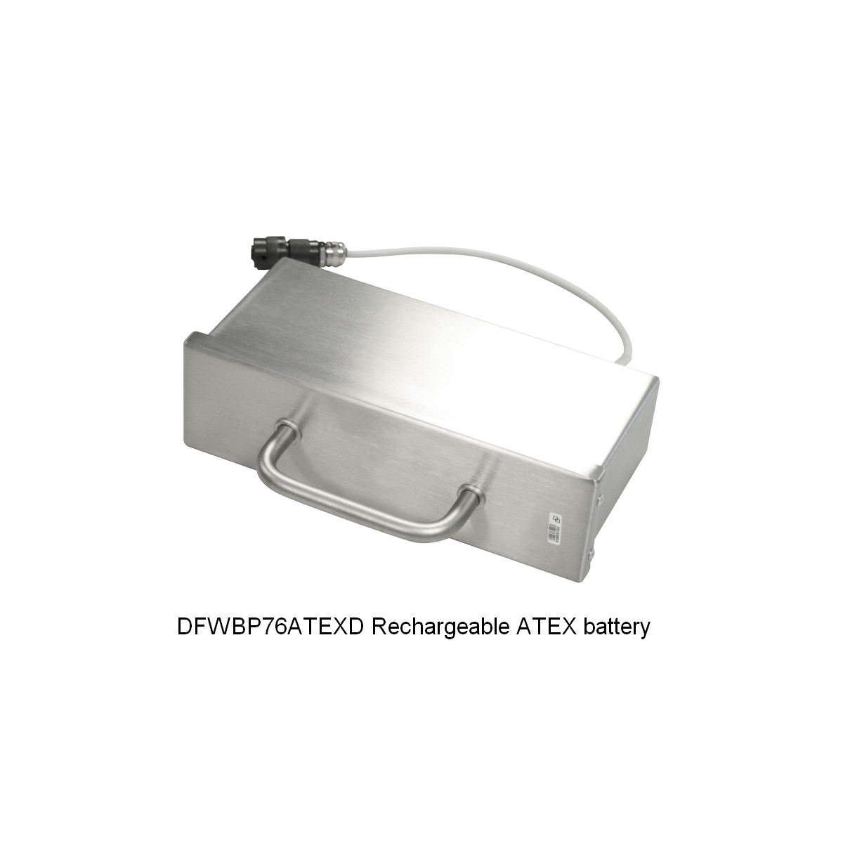 Dini Argeo Stainless "Easy Pesa 2GD" ATEX 1, 21, 2, 22 zones | Oakleyweigh