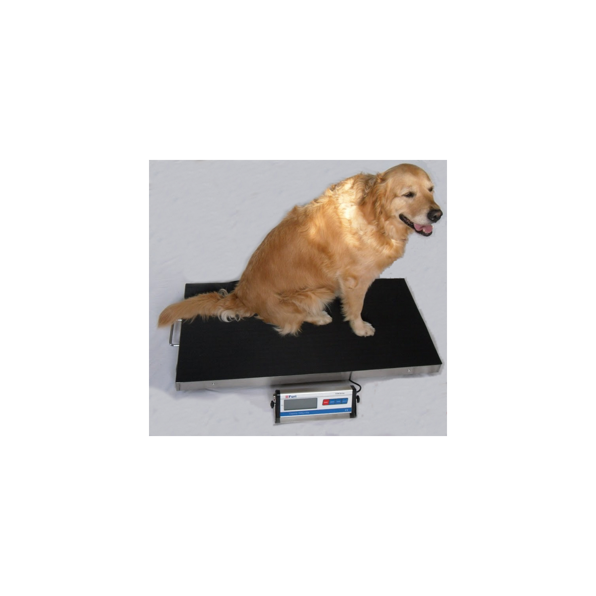 Furi FCW Veterinary Scale, ideal for weighing dogs