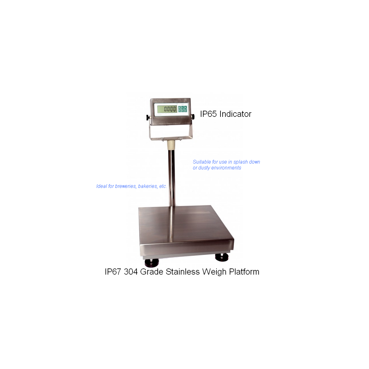 Marsden MSS-I-100SS Stainless Column Scale Budget priced | Oakleyweigh