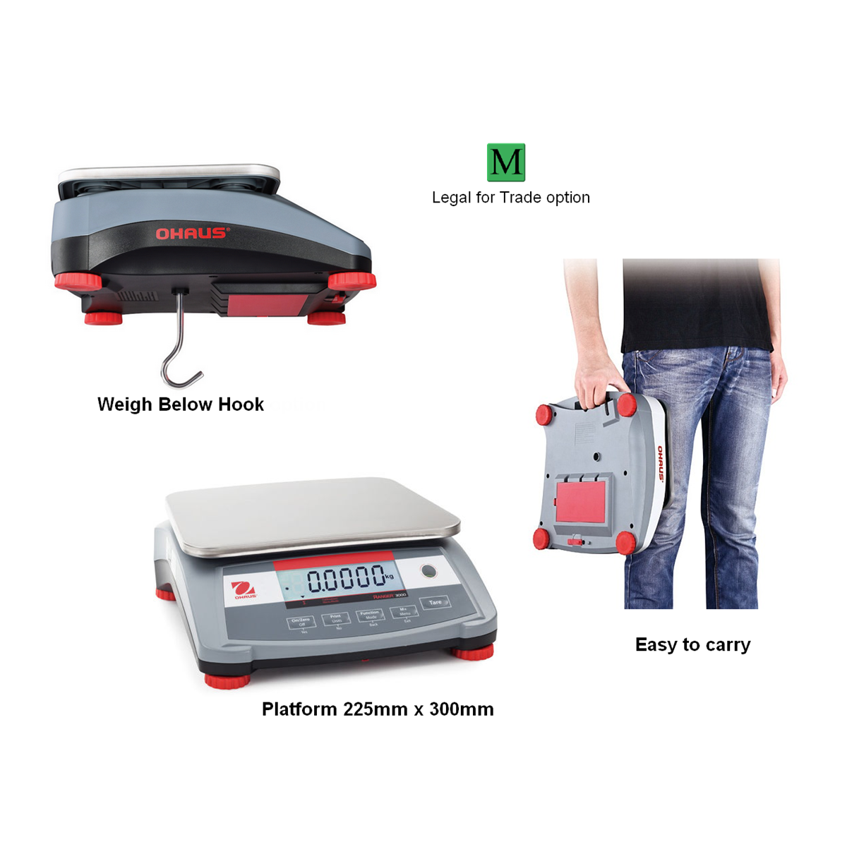 Ohaus Ranger 3000 Bench Scale | Simple Weighing with Large Screen