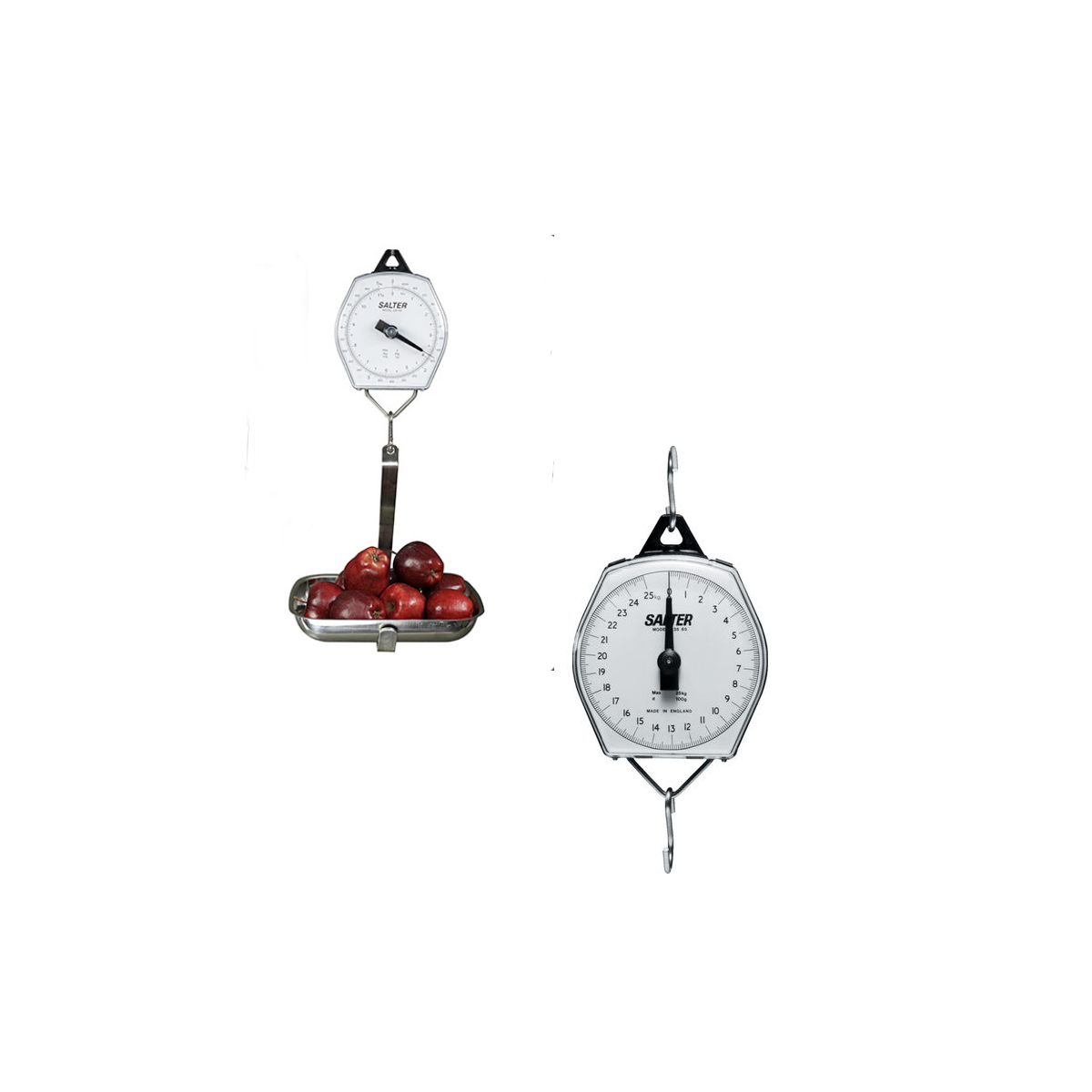 Salter Brecknell 235-6S | ABS Mechanical Spring Hanging Scale