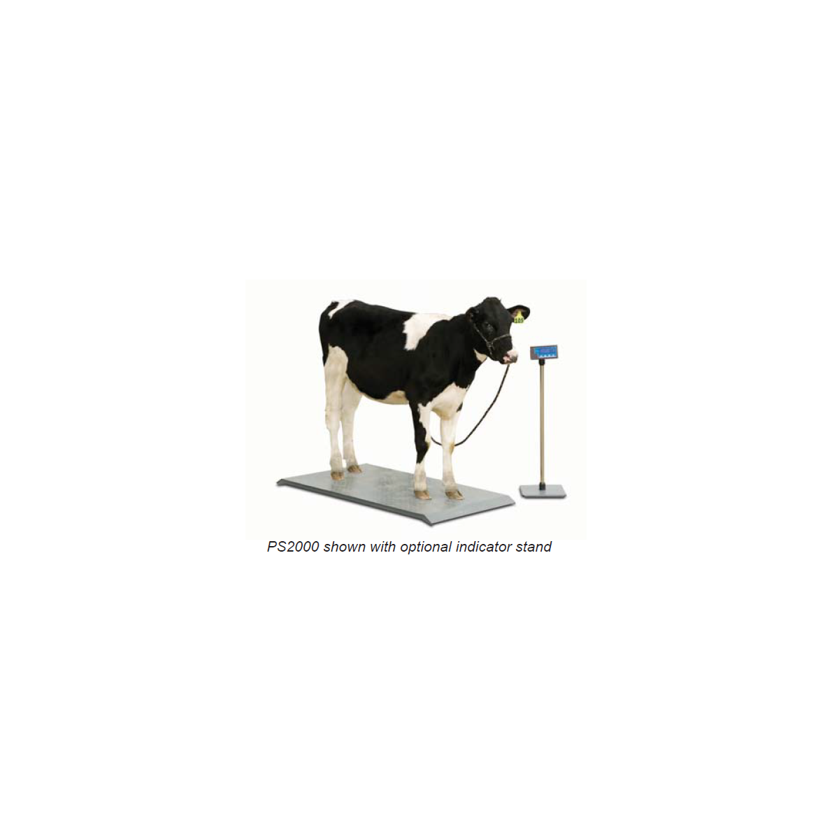 Salter Brecknell PS2000 Animal Scale | Heavy-Duty & Accurate Weighing ...