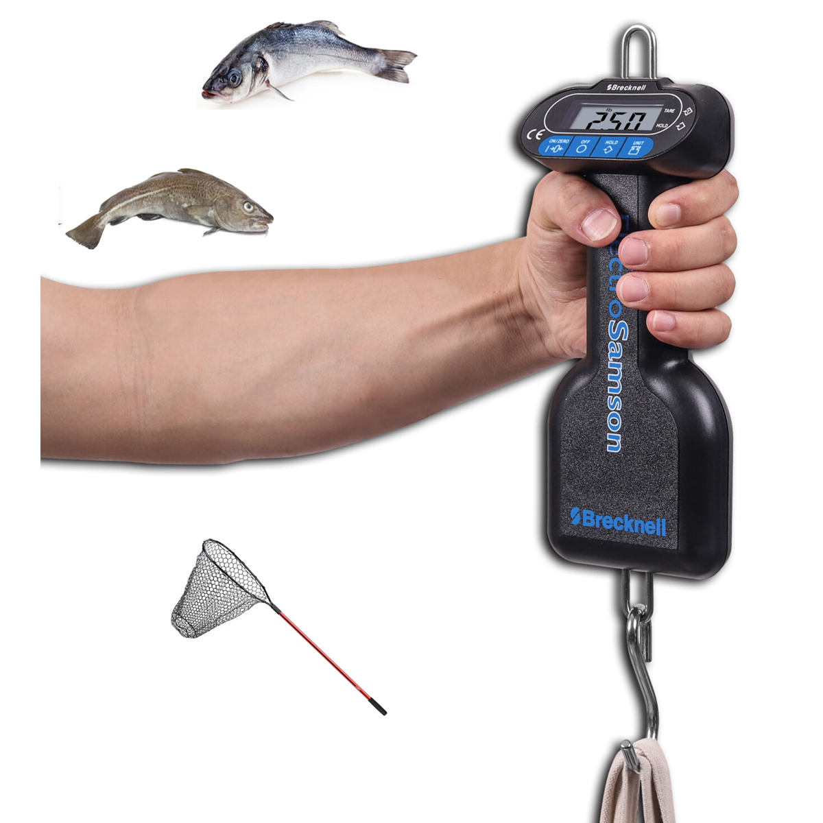 Salter Electro Samson Fishing Scale | Oakleyweigh