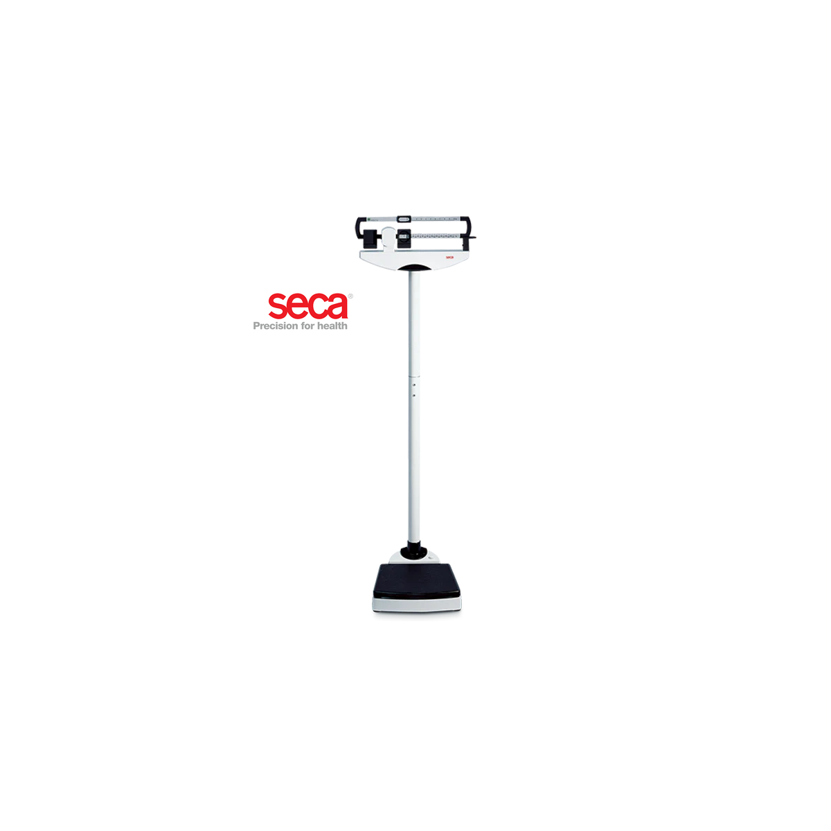 Seca 700 Mechanical Column Scale capacity 160kg and 400lbs. | Oakleyweigh