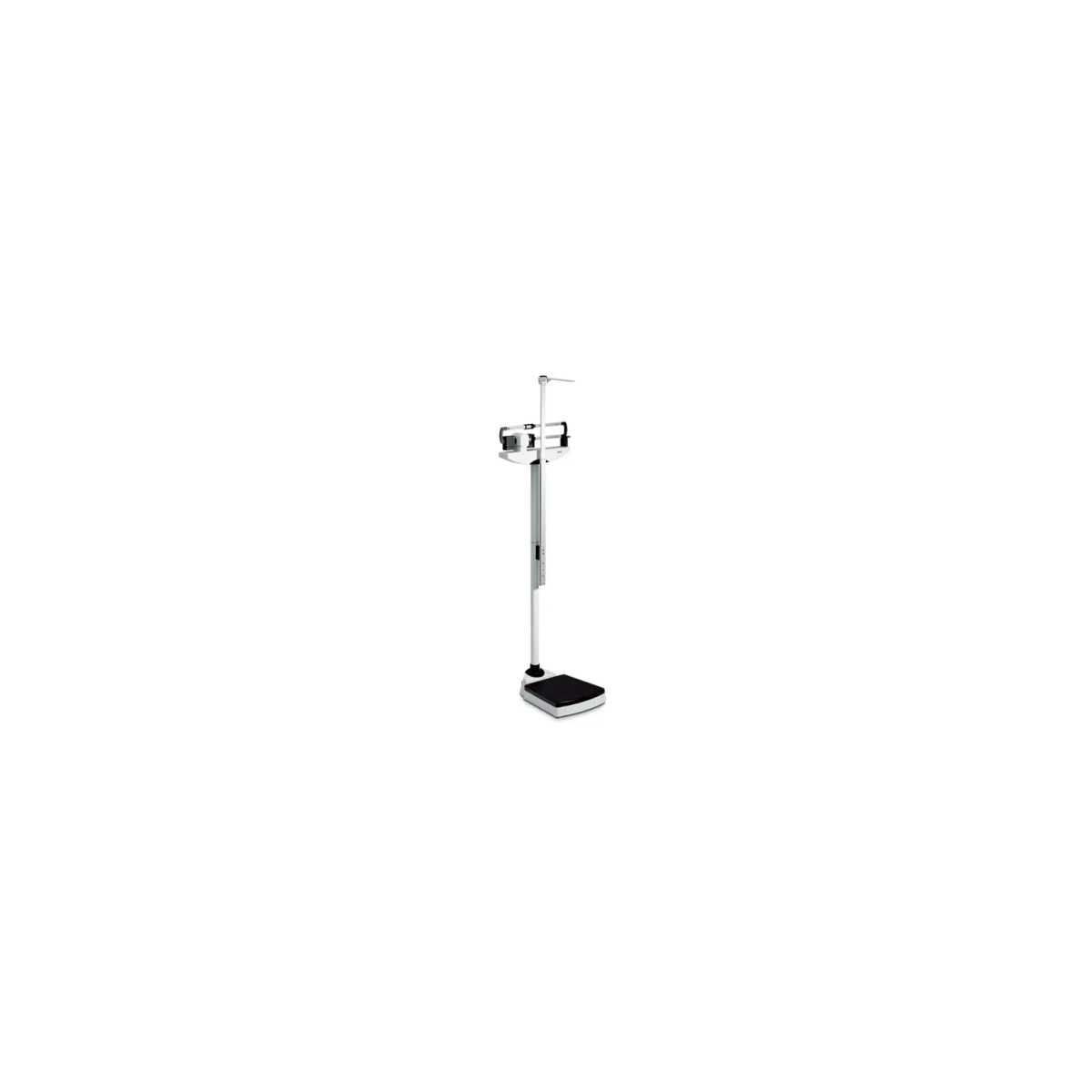 Seca 700 Mechanical Column Scale capacity 160kg and 400lbs. | Oakleyweigh